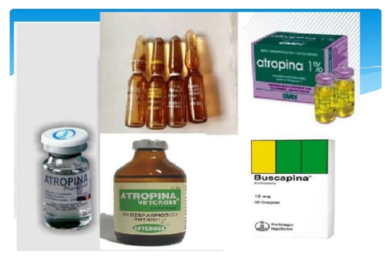 Atropina, un alcaloide che viene usato per tantissimi scopi