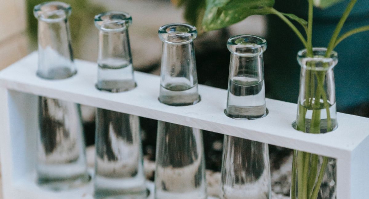 Come riciclare il vetro: tante idee da praticare e risultati ...