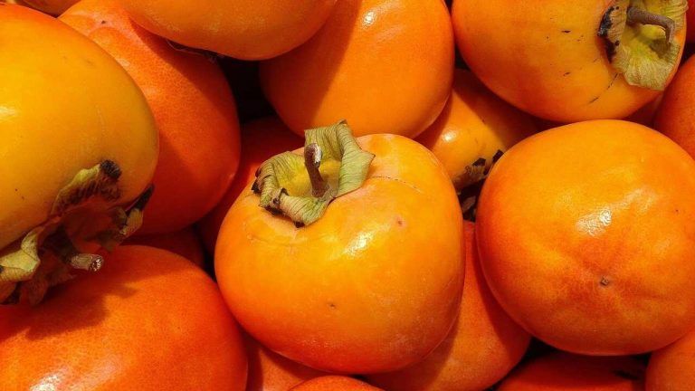 Cachi: proprietà, benefici e controindicazioni di questo frutto autunnale