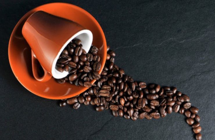 Caffeina: quali sono gli alimenti che la contengono