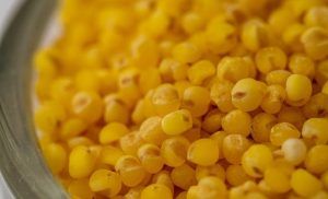 Miglio: benefici, proprietà, dieta, ricette, controindicazioni e storia