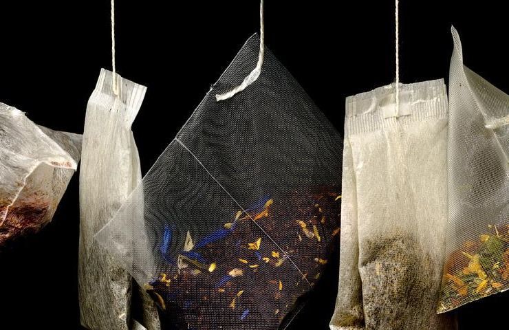 Tè, è il momento di berlo: tutte le proprietà di questa bevanda - INRAN