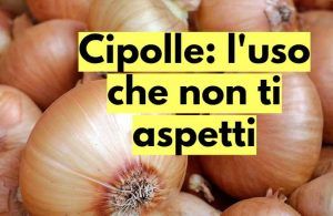 Cipolla, l'uso alternativo che cambia tutto