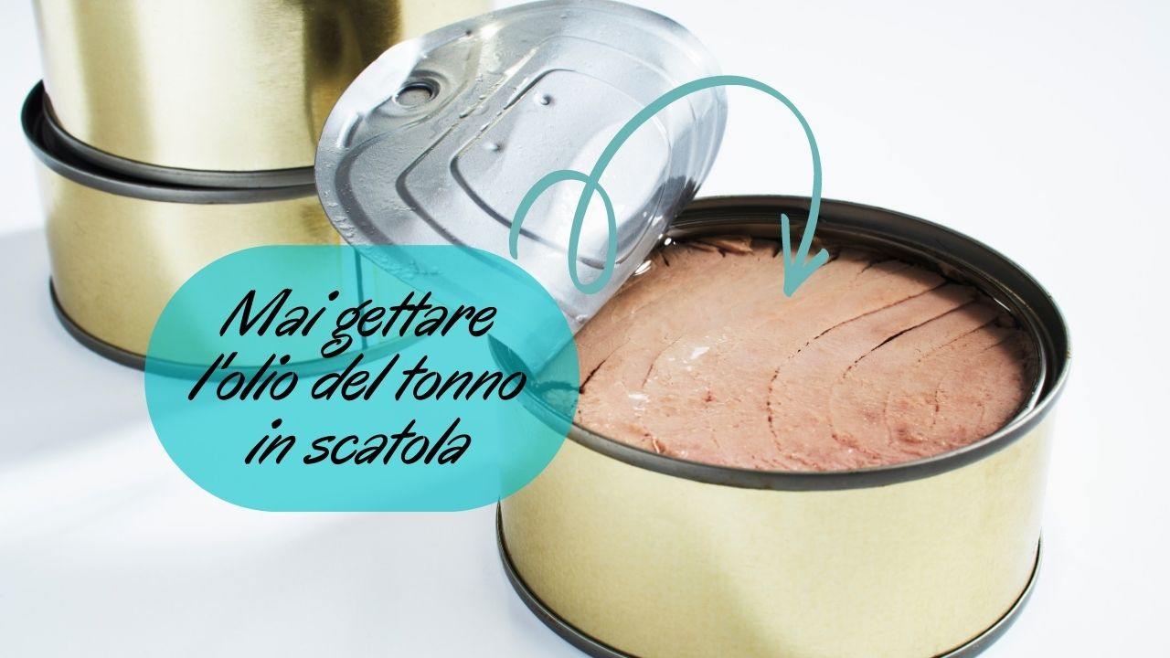 Non gettare l'olio del tonno in scatola, è un errore madornale Non gettare l'olio del tonno in scatola, è un errore madornale