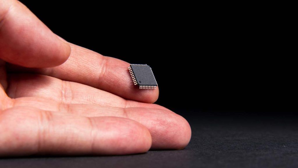 Chip commestibile creato con i granchi: a cosa serve e quando potremo ...