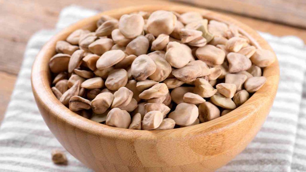 Moco: uno straordinario legume antico, la sua storia è incredibile