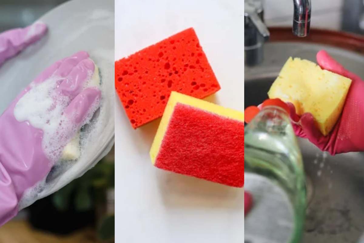 Spugnette per la cucina, i colori non sono a caso: sono scioccata dal ...